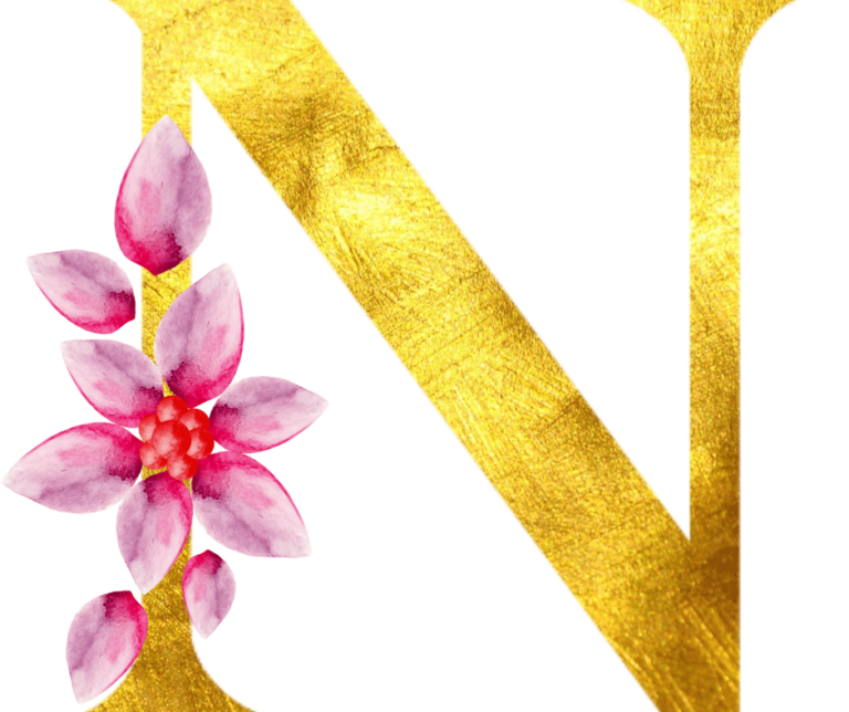 Medicare Plan N vs Plan G: Understanding the Differences | Omaha ...